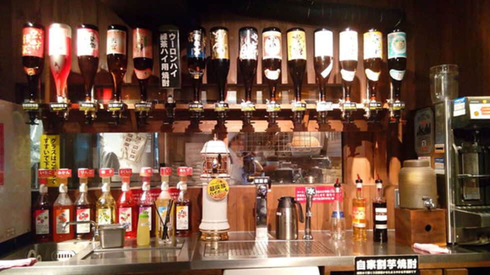 Everything About The Best Of Nomihoudai: All-You-Can-Drink In Japan