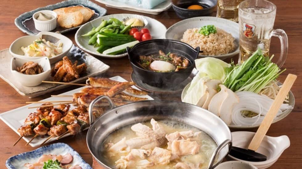 Everything About The Best Of Nomihoudai: All-You-Can-Drink In Japan