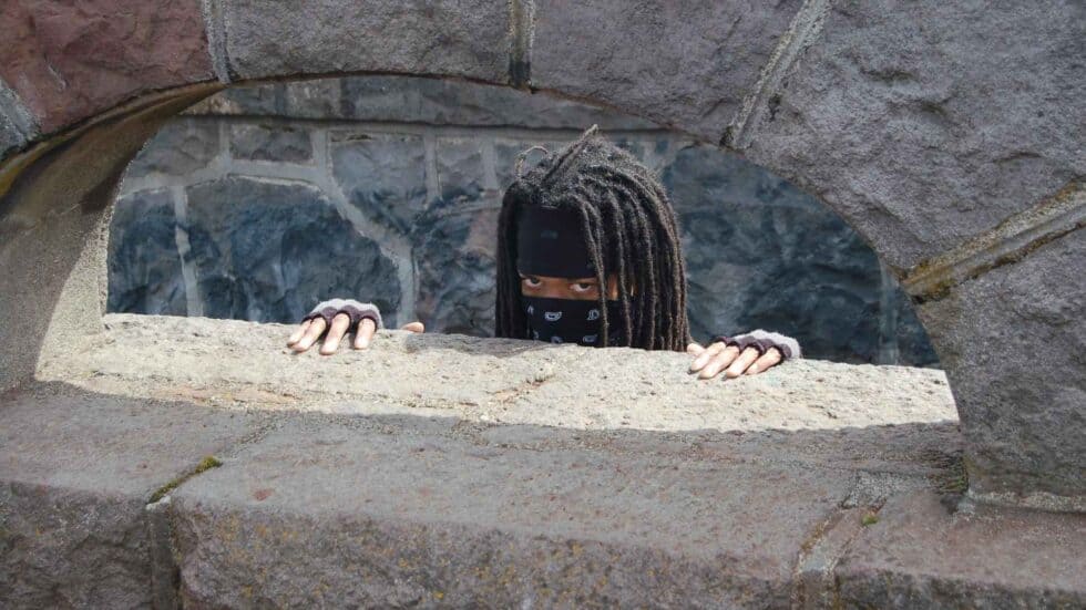 Ninjas Decoded: Unmasking Myths And Revealing The Fascinating Art Of ...