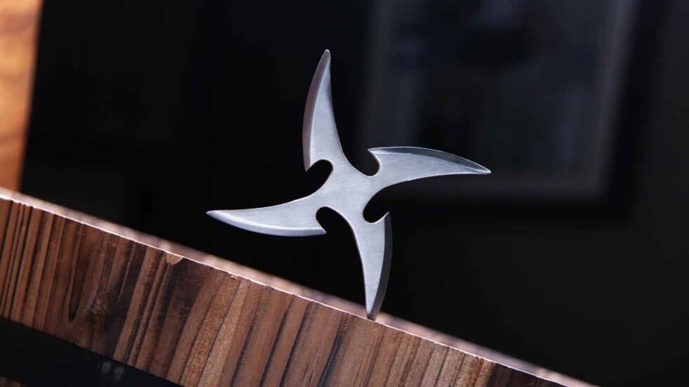 Ninjas: Honest Guide To Japan’s True Shadow Warriors