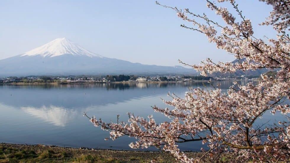 Overnight And Weekend Trips From Tokyo: 12 Enchanting Destinations For ...