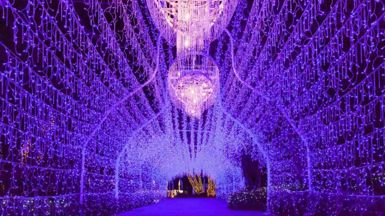 December In Japan: Enchanting Lights And Year-End Traditions