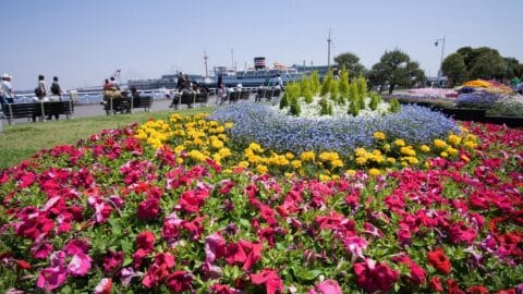 25 Ideas For A Romantic Spring Date In Tokyo: Best Spots For Spring Romance