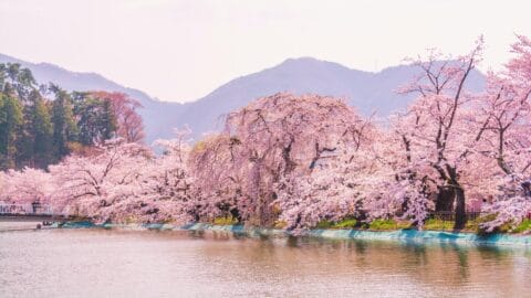 Where To Go In Spring In Japan: Discover The 32 Most Beautiful Places ...