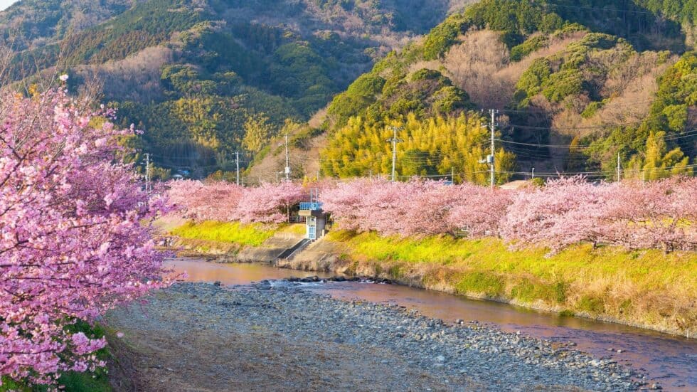 February In Japan: Snowy Wonders And Seasonal Delights