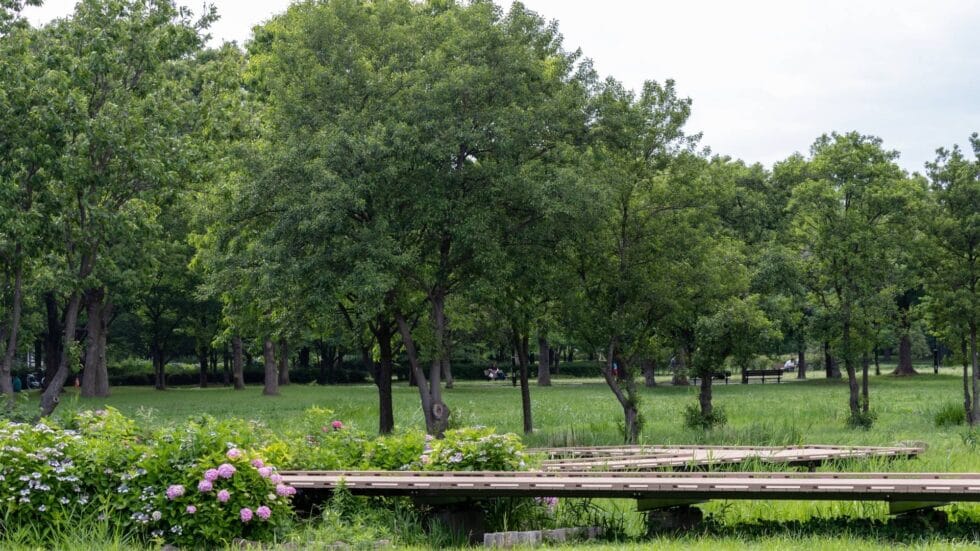 Adachi City Ward Area Guide: Best Things To Do, History, Areas & Hotels