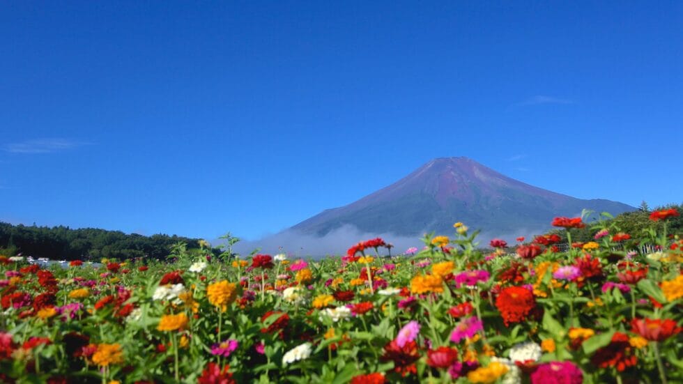 Summer Activities In Japan: 10 Unforgettable Ways To Experience The ...