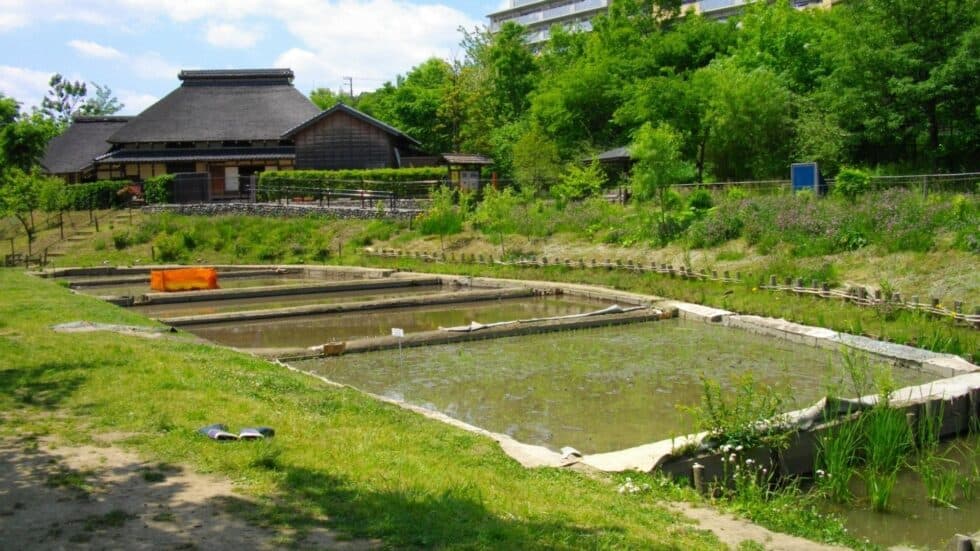 Quick Akabane Area Guide: Best Things To Do, And Recommended ...