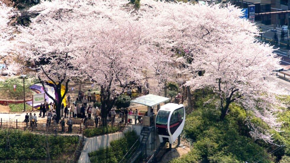 Ultimate Kita Ward Guide: Best Things To Do, History, Areas And ...