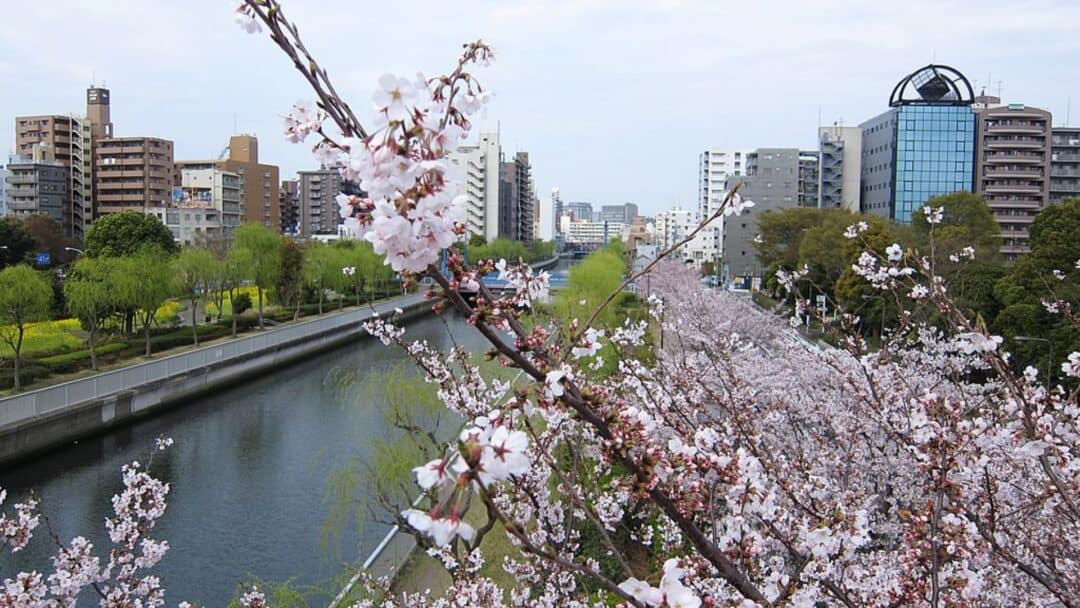 Ultimate Koto Ward Guide: Best Things To Do, History, Areas, And ...