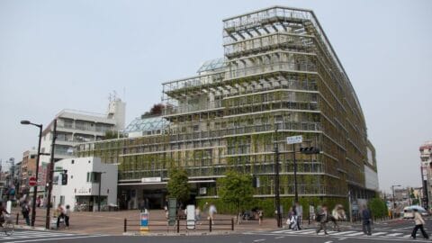 Ultimate Ota Ward Guide: Best Things To Do, History, Areas, And ...