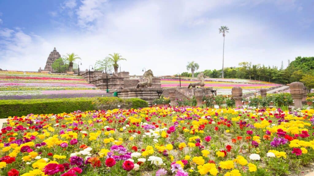 Roses In Japan: When And Where To See Japanese Roses
