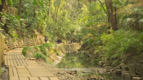 Ultimate Setagaya Ward Guide: Best Things To Do, History, Areas, And ...