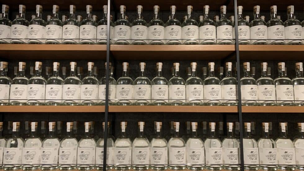 Gin Distilleries In Japan: 8 Essential Visits For Craft Gin Aficionados!