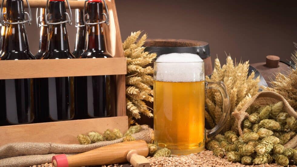 4 Best Craft Beer Breweries In Japan For The Ultimate Beer Experience