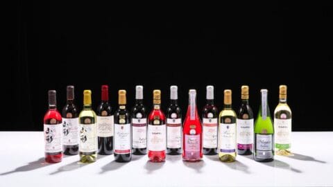 Top 9 Wineries In Japan For Remarkable Wine Tasting Experiences