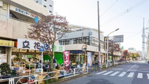 Ultimate Sumida Ward Guide: History, Areas, Recommendations!