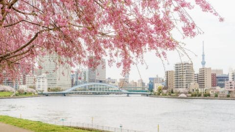 Ultimate Sumida Ward Guide: History, Areas, Recommendations!