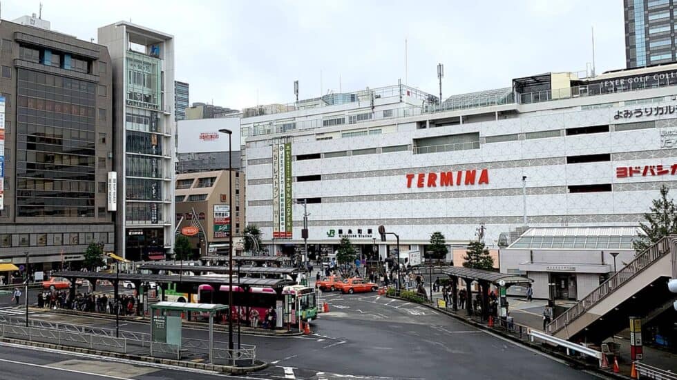 Ultimate Sumida Ward Guide: History, Areas, Recommendations!