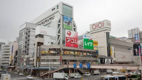 Ultimate Sumida Ward Guide: History, Areas, Recommendations!