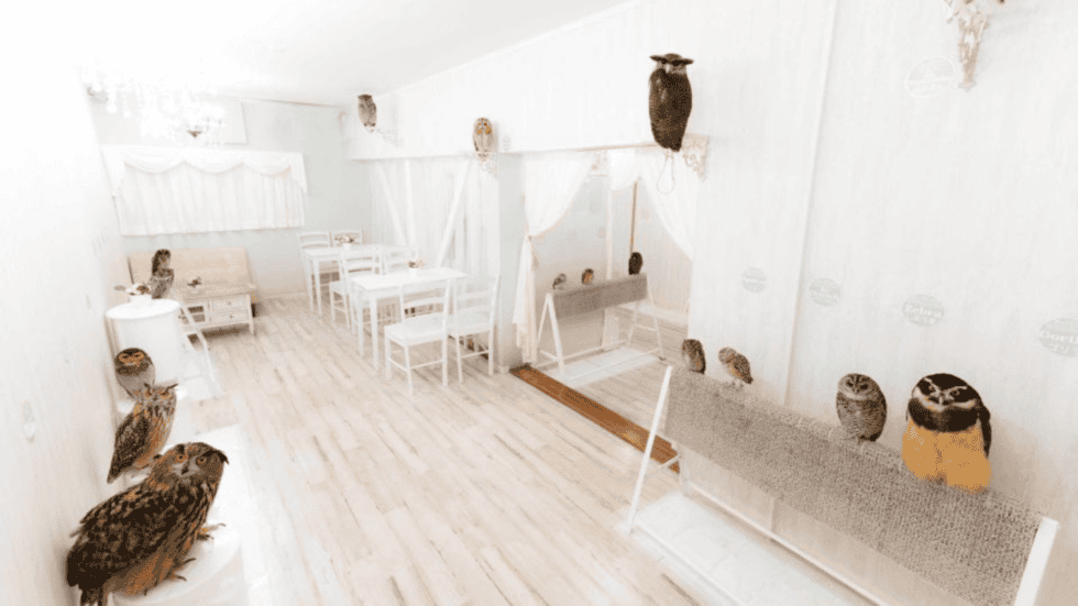 Top 24 Date Spots In Tokyo To Visit With Your Special Someone