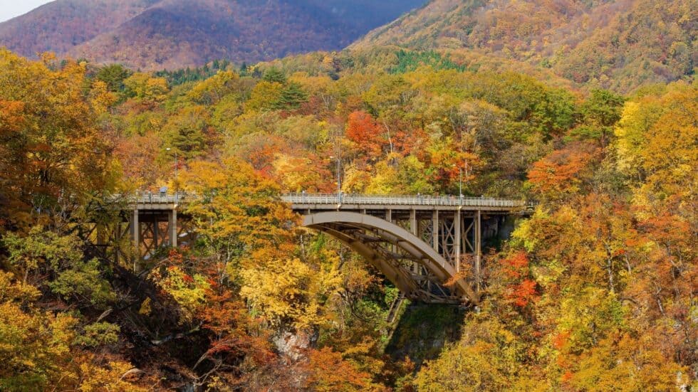 Autumn In Japan: 76 Spots To Enjoy Autumn Leaves (Koyo) From September ...