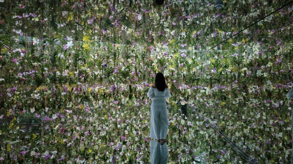 Your Go-To Guide For TeamLab Planets Tokyo: Discovering The Enchanting ...