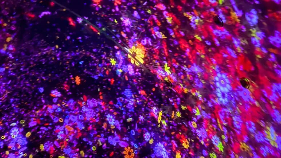 Your Go-To Guide For TeamLab Planets Tokyo: Discovering The Enchanting ...