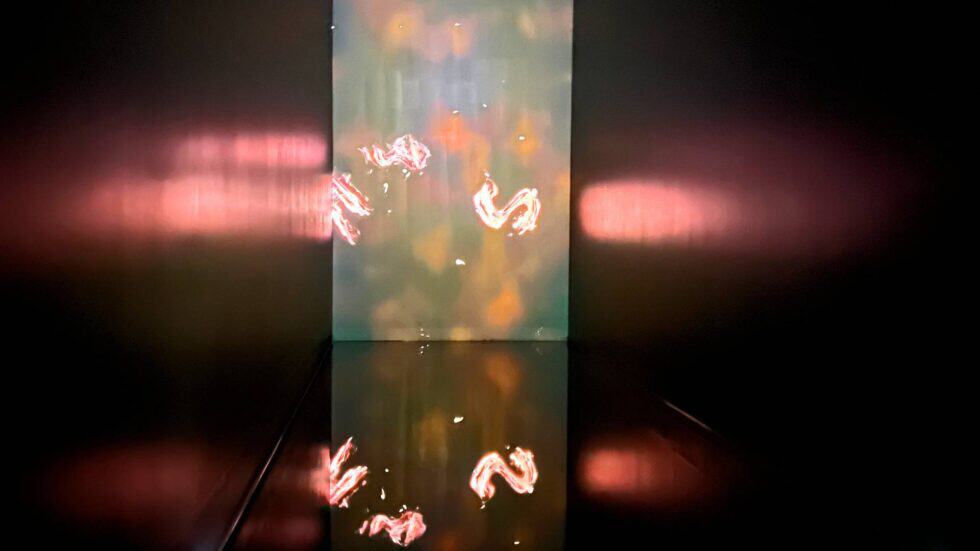 Your Go-To Guide For TeamLab Planets Tokyo: Discovering The Enchanting ...