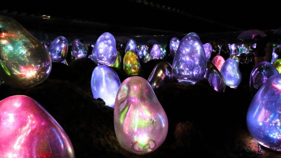 Your Go-To Guide For TeamLab Planets Tokyo: Discovering The Enchanting ...