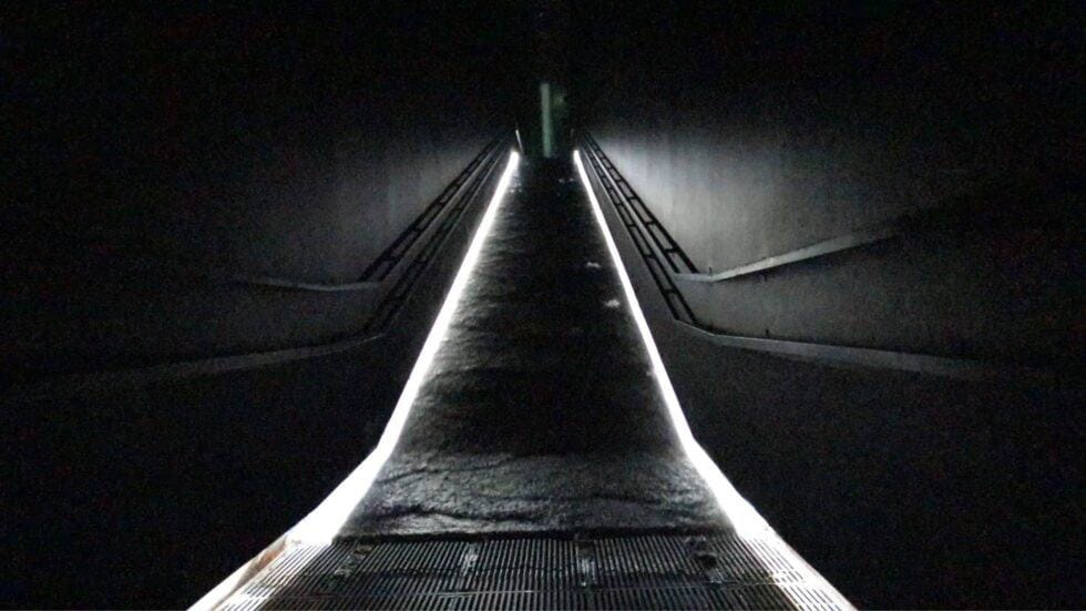 Your Go-To Guide For TeamLab Planets Tokyo: Discovering The Enchanting ...