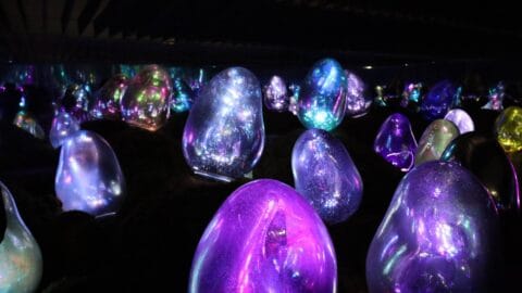 16 TeamLab Planets Tips And Tricks For Making The Most Of Your Visit