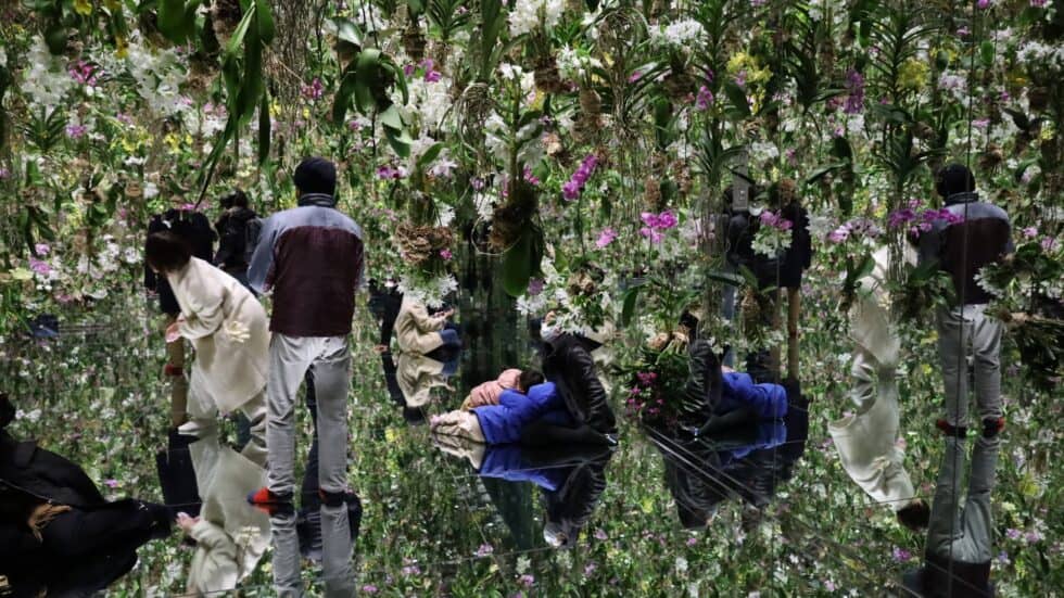 16 TeamLab Planets Tips And Tricks For Making The Most Of Your Visit
