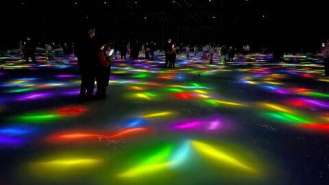 16 TeamLab Planets Tips And Tricks For Making The Most Of Your Visit