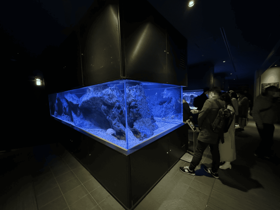 July In Japan: Must-Know Tips For Travellers