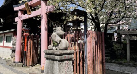 Japanese Shrines: A Confused Foreigner's Complete Guide