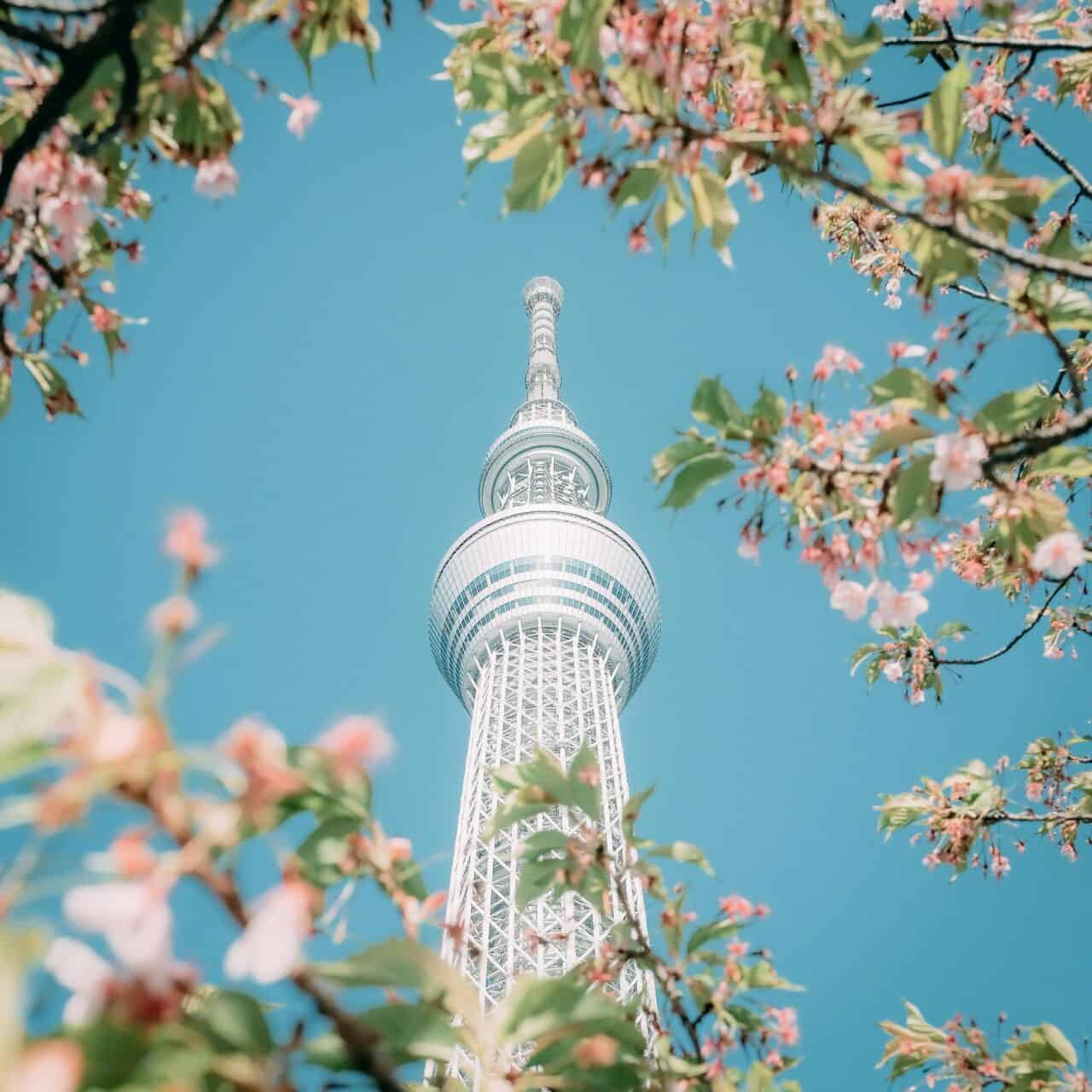 April In Japan: Full-Bloom Sakura, Festivals, And More