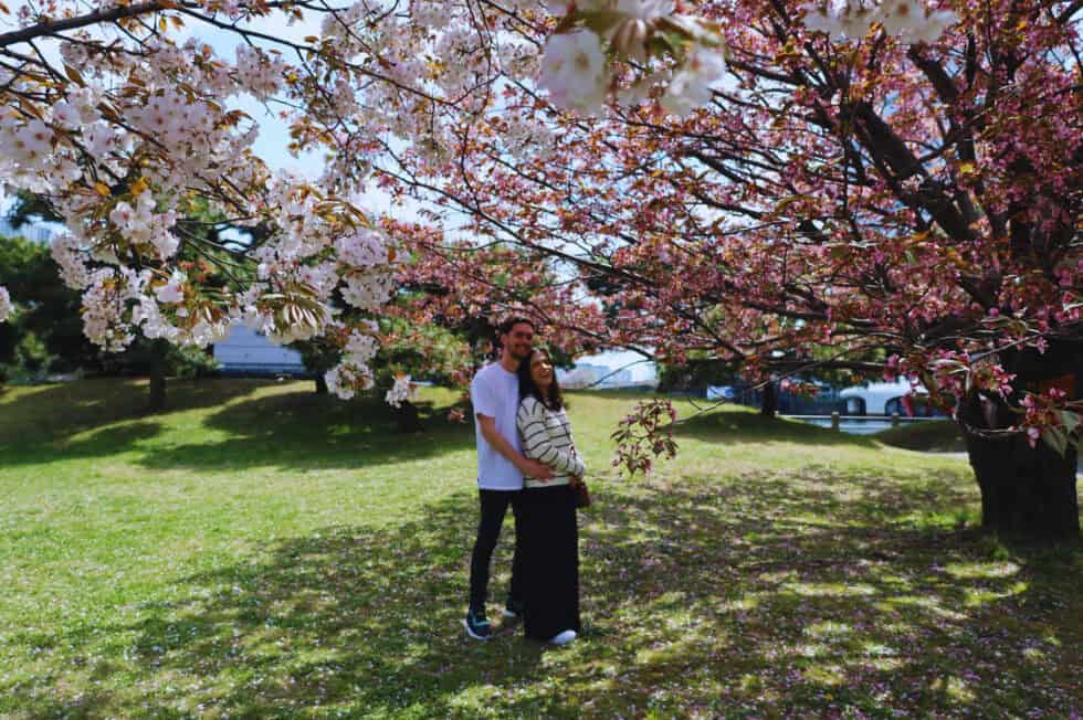 Spring In Japan: Magical Festivals, Cherry Blossoms & More!