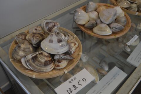 March In Japan: Welcoming Spring With Festivals And Blooms