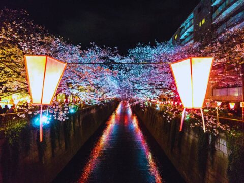 The 10 Best Yozakura Spots In Tokyo