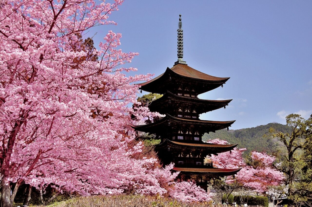 Yamaguchi Travel Guide: Best Things To Do + 3-Day Itinerary