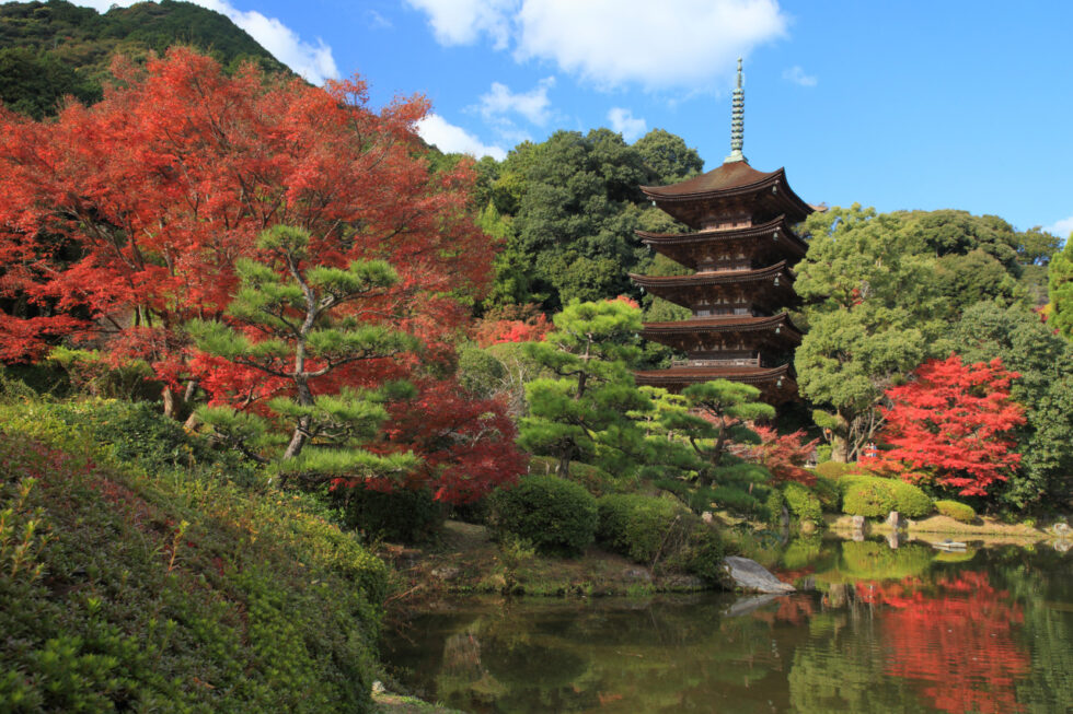 Yamaguchi Travel Guide: Best Things To Do + 3-Day Itinerary