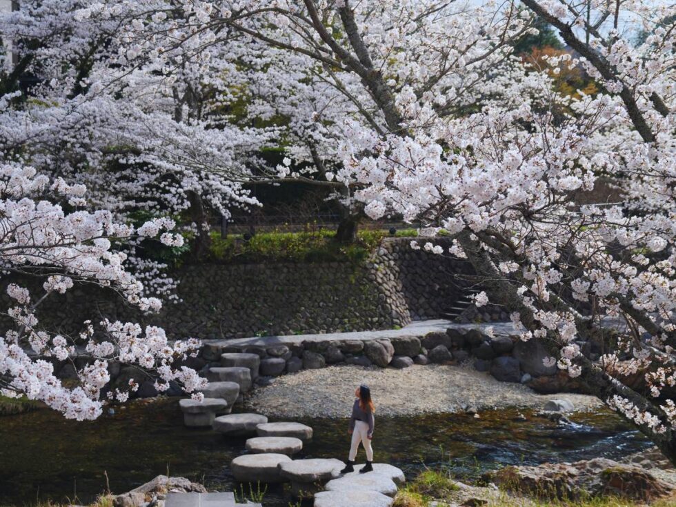 Yamaguchi Travel Guide: Best Things To Do + 3-Day Itinerary
