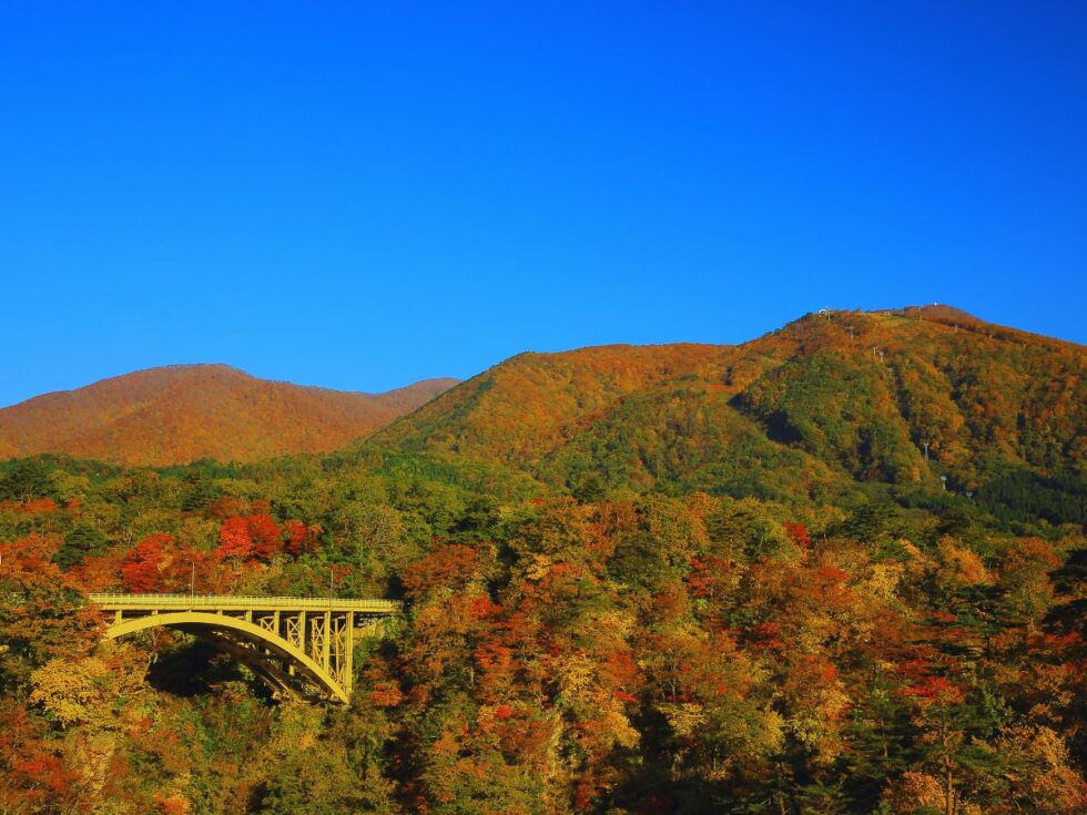 Ultimate Miyagi Area Guide And Perfect 3-Day Itinerary