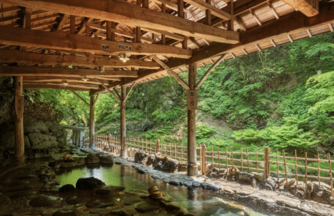 Ultimate Miyagi Area Guide And Perfect 3-Day Itinerary
