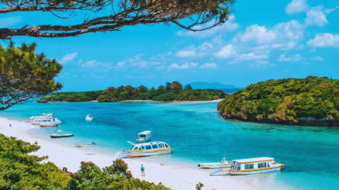 40 Cool Things To Do In Okinawa: Ryukyu History, Food, And Fun