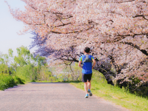 Insider's Guide To Running In Japan: Favourite Tips & Routes