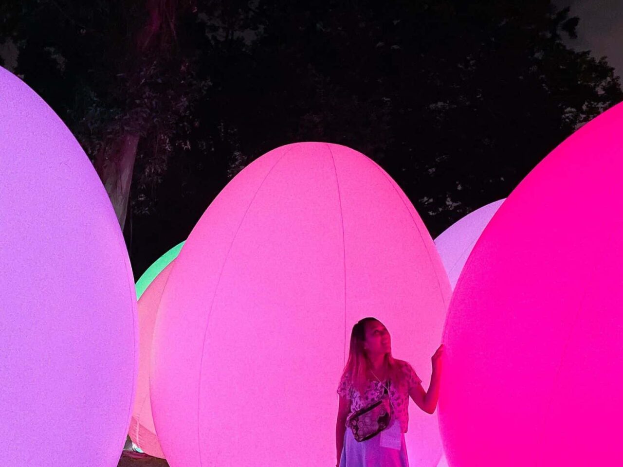 Japan’s TeamLab Comparison: Which One Should You Visit?